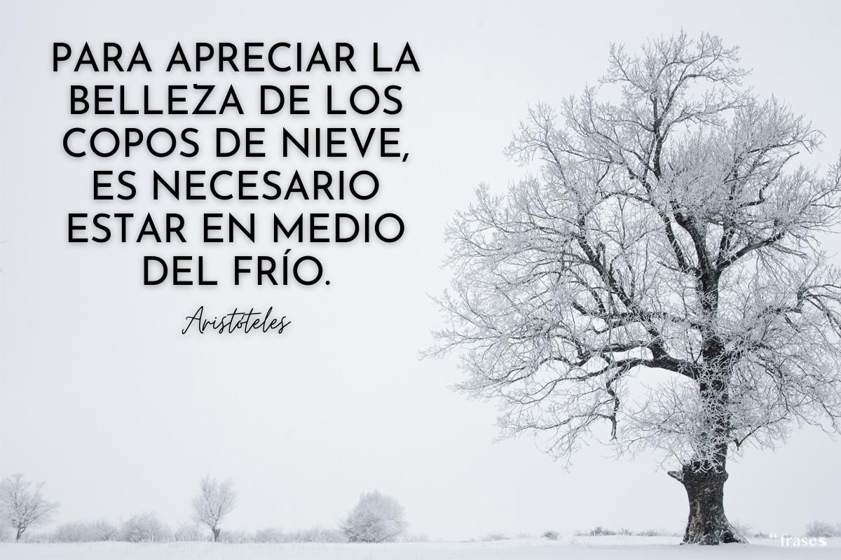 Frases nieve